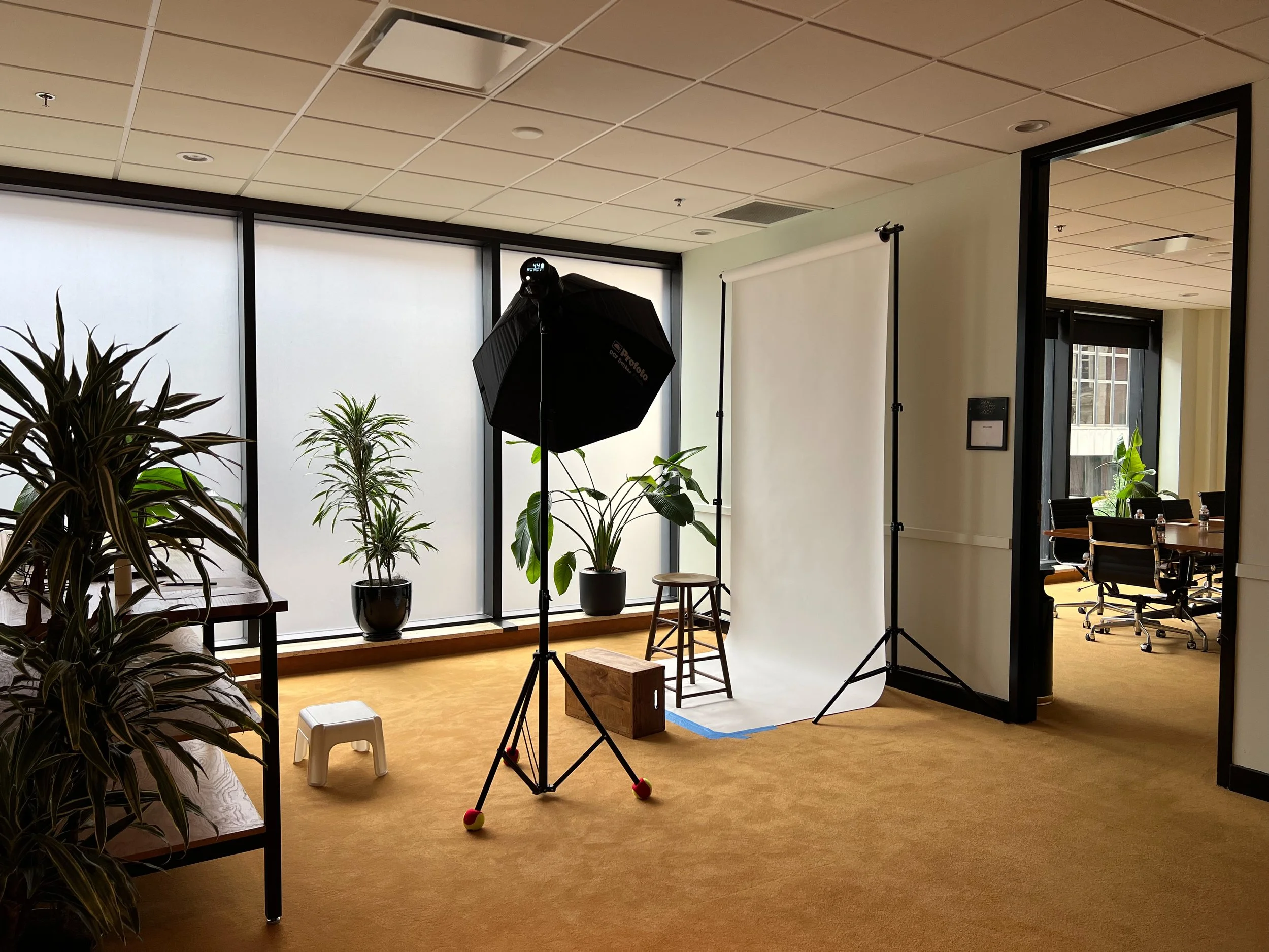 Danielle Shields Photography