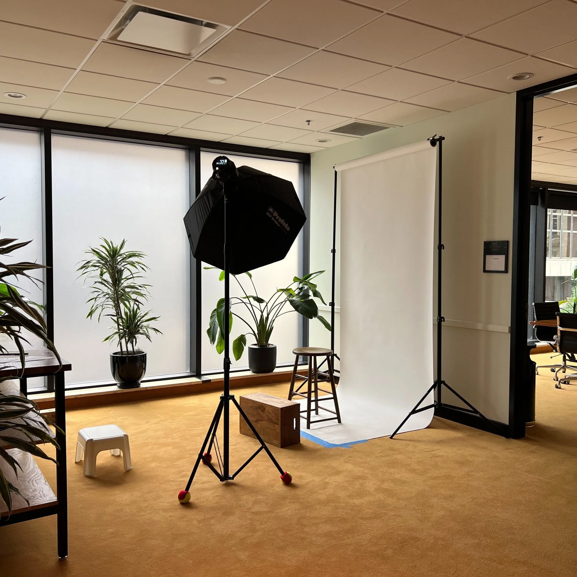 Danielle Shields Photography