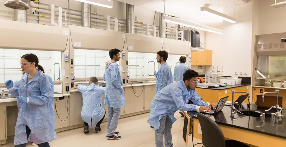 The Vision of Children Foundation