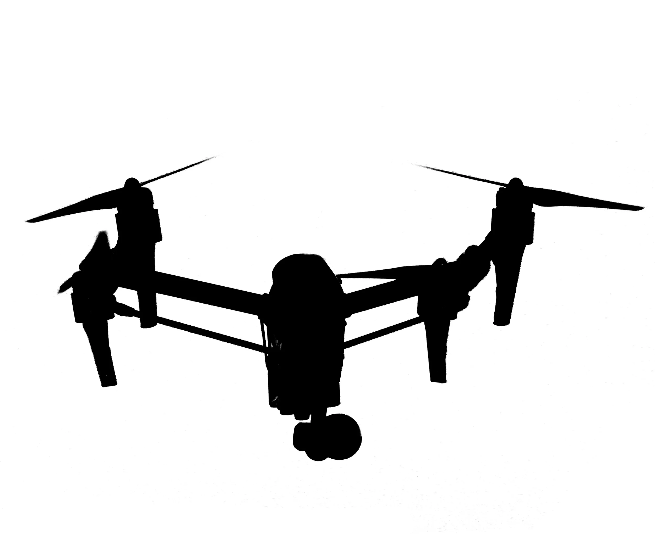 Vectors of the DJI Inspire — Portland Drone Service | LionEye Aerials