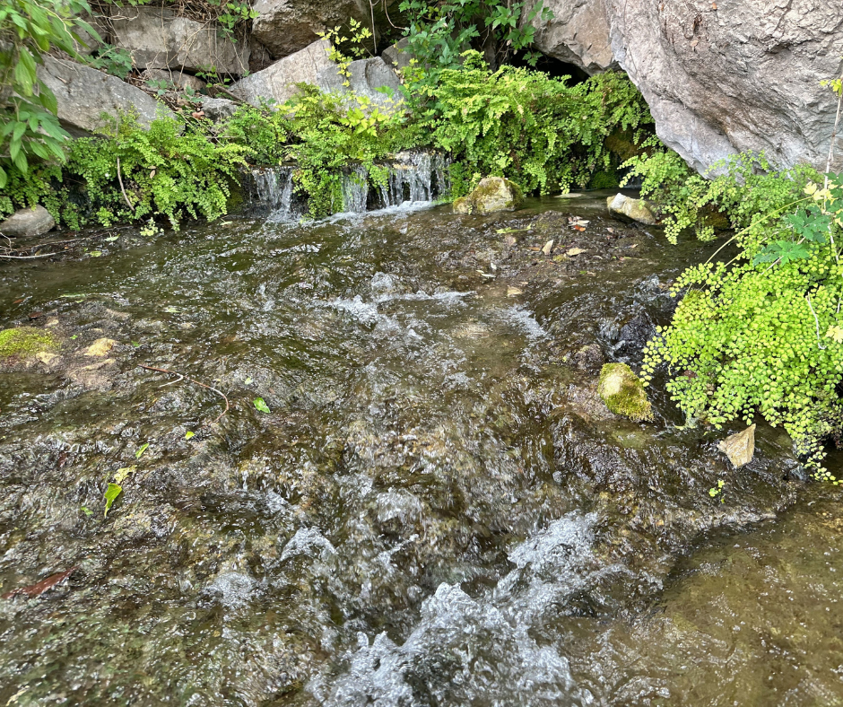 Landmark Protection for Devils River Headed to Governor's Desk — Devils ...