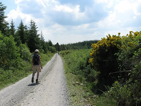 Things To Do For Free When You Are Poor (and Bored) — Taran Skye ...