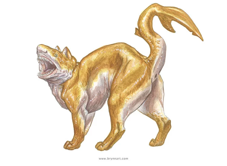 Shark Cats — BRYNN METHENEY