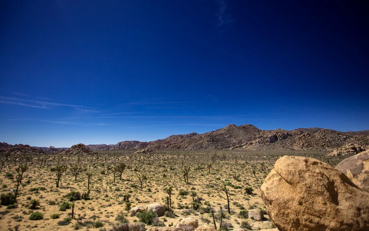 24 Hour Wallpaper - Time Synced Dynamic Wallpapers