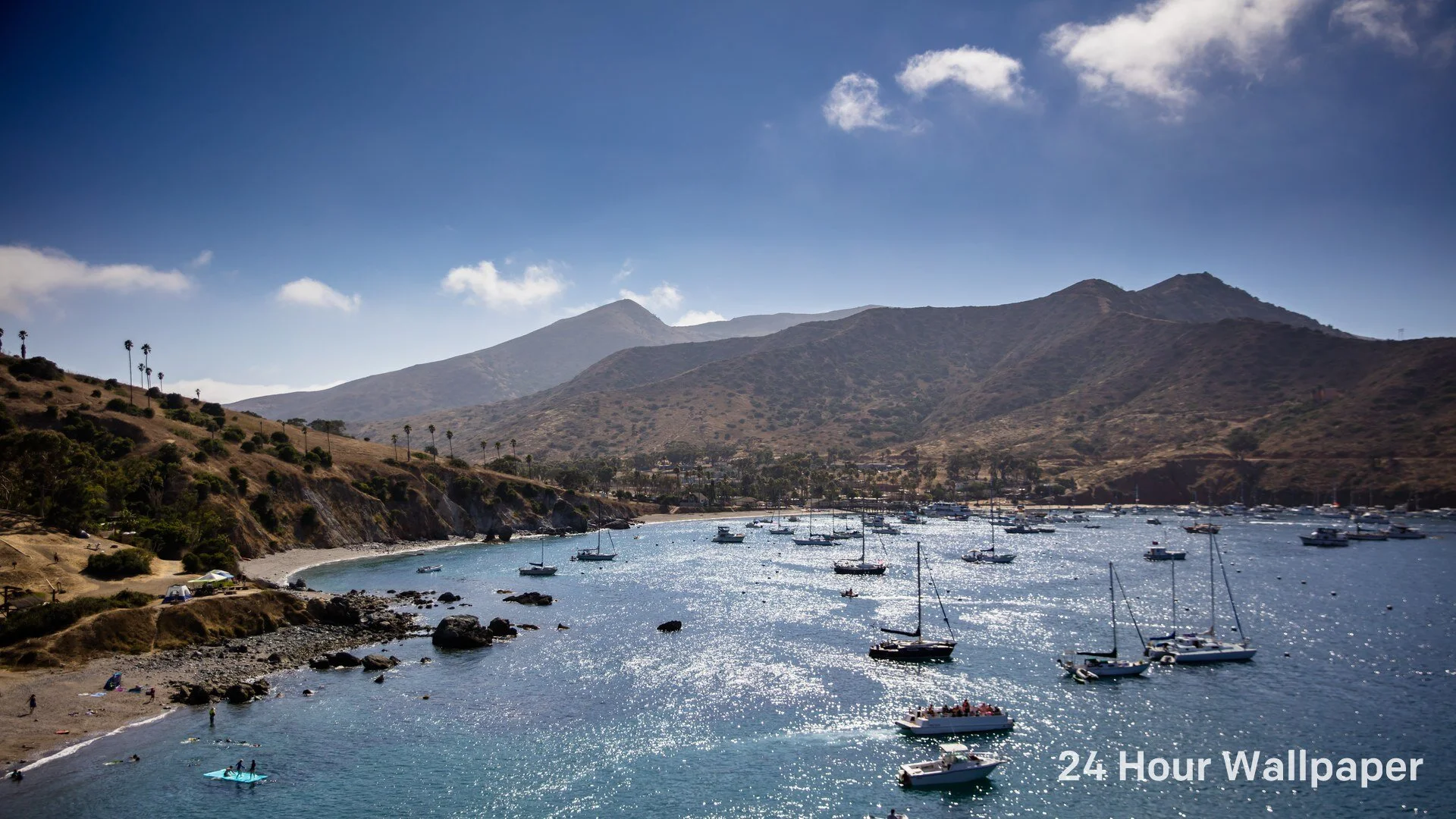 Catalina Isthmus Cove (WinDD) — Jetson Creative