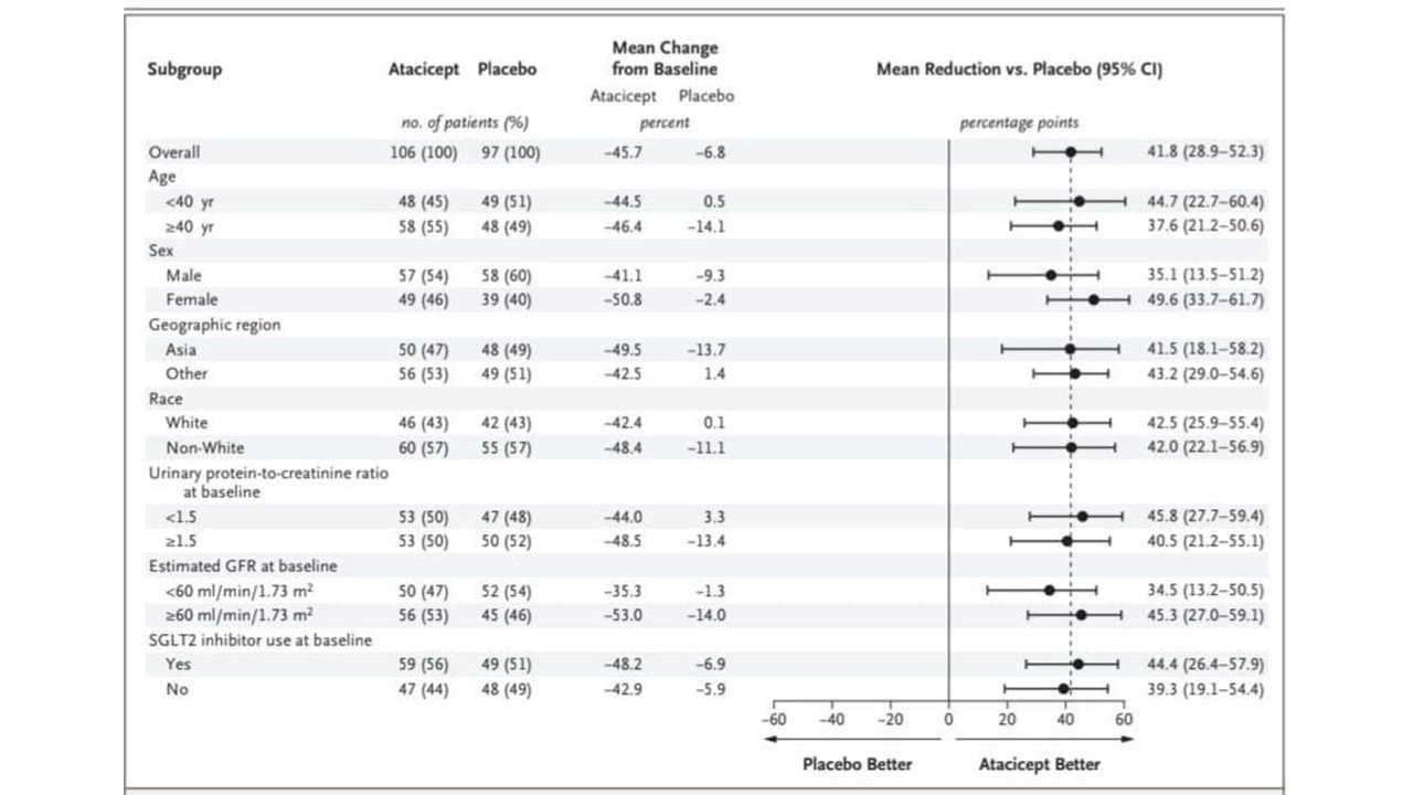 Attacking the Origin of IgAN: ORIGIN3 and Atacicept — NephJC
