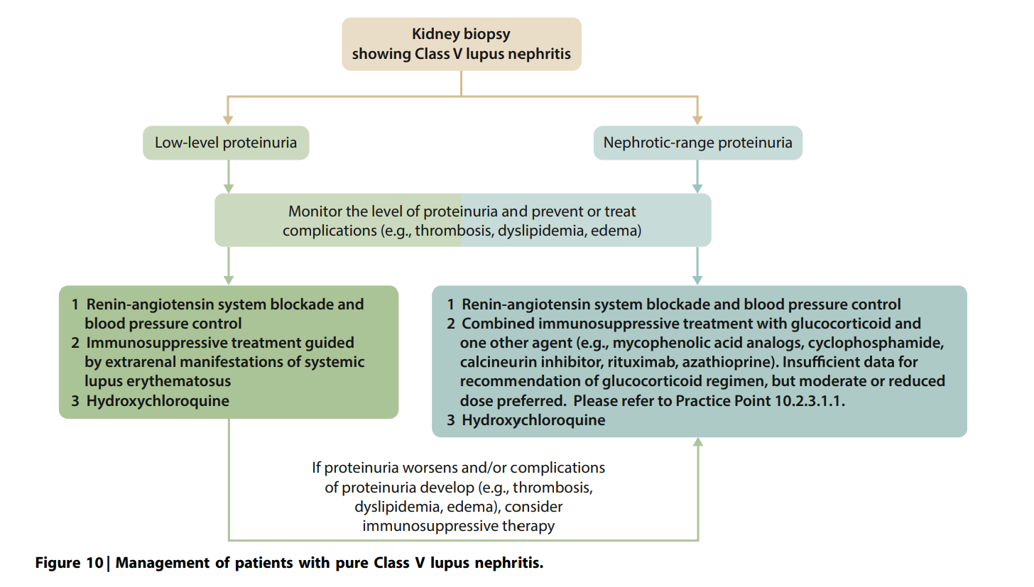 Hungry Like The Wolf for New Lupus Nephritis Guidance — NephJC