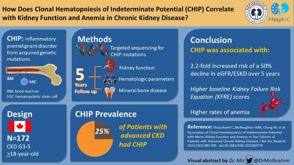 The CHIP Visual Abstract — NephJC