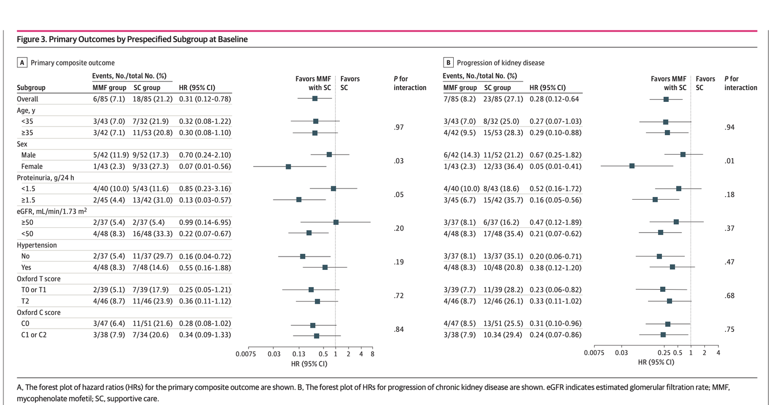 MMF in IgA: Inching into the MAINstream? — NephJC