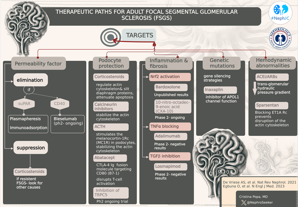Optimizing “Sparse” Treatments for FSGS — NephJC
