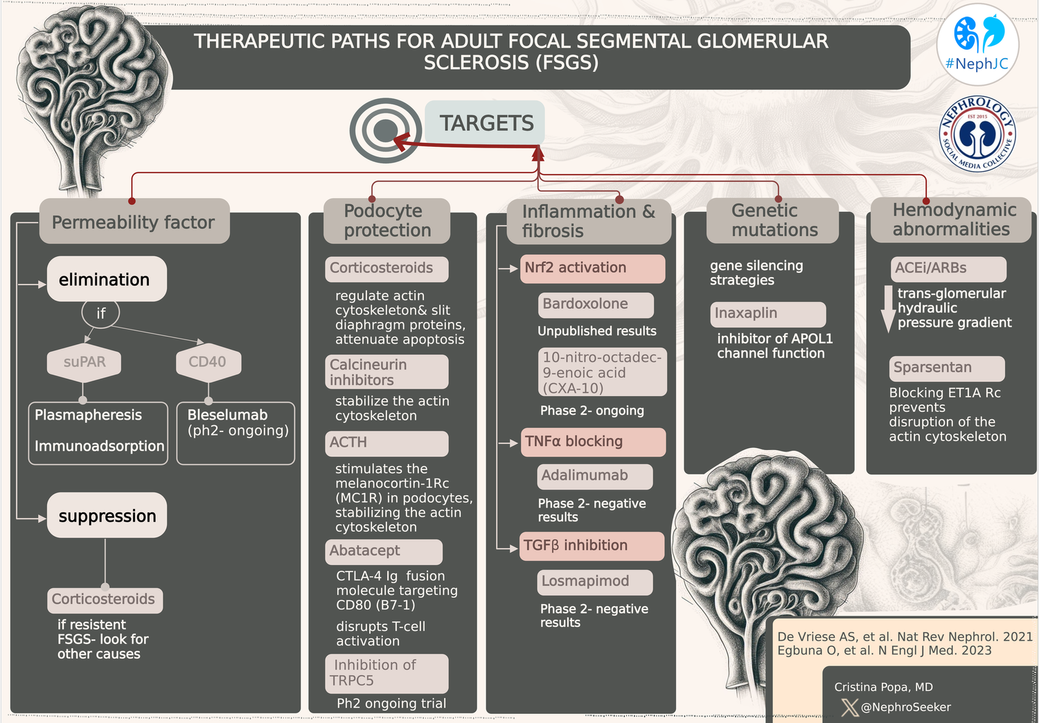 Optimizing “Sparse” Treatments for FSGS — NephJC