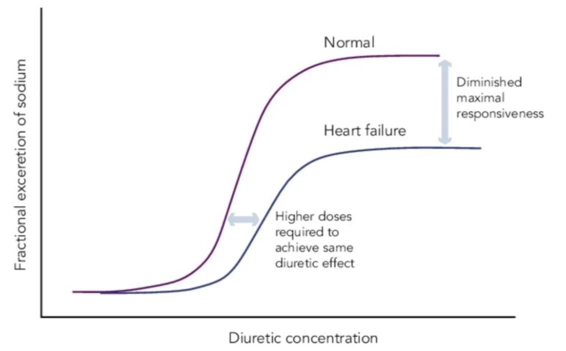 ADVOR TRIAL - Can the addition of a little buddy make a big difference ...