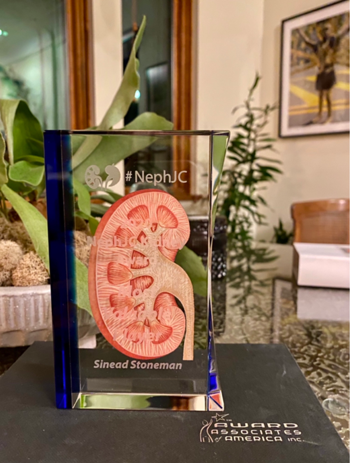 The 2024 NephJC Kidneys Award Winners — NephJC