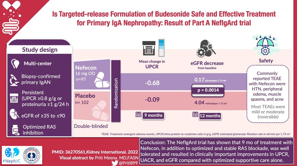 NefIgArd trial : Visual Abstract — NephJC