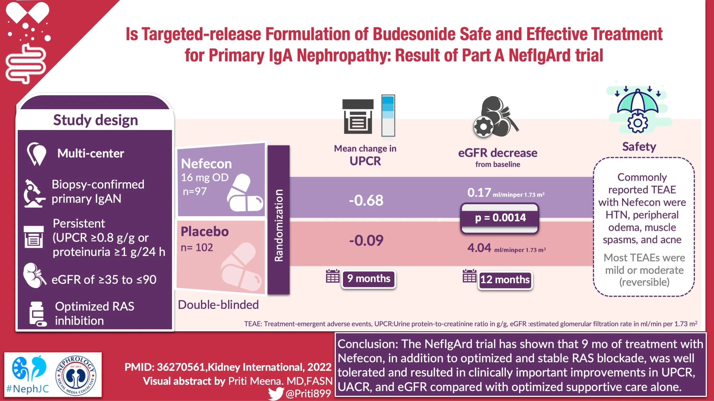 NefIgArd trial : Visual Abstract — NephJC