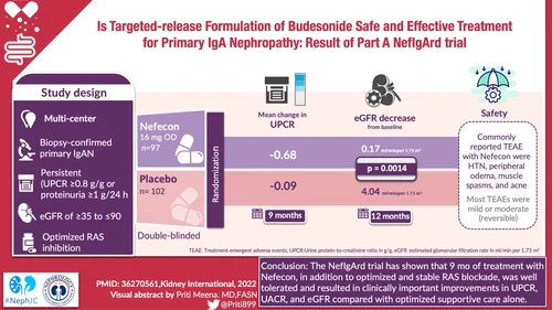 NefIgArd trial : Visual Abstract — NephJC