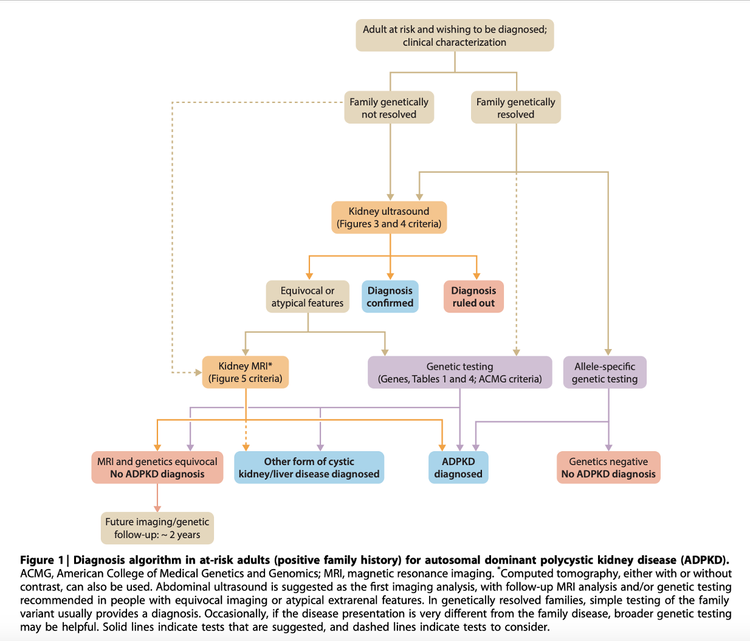 KDIGO 2025 ADPKD Guidelines Review — NephJC