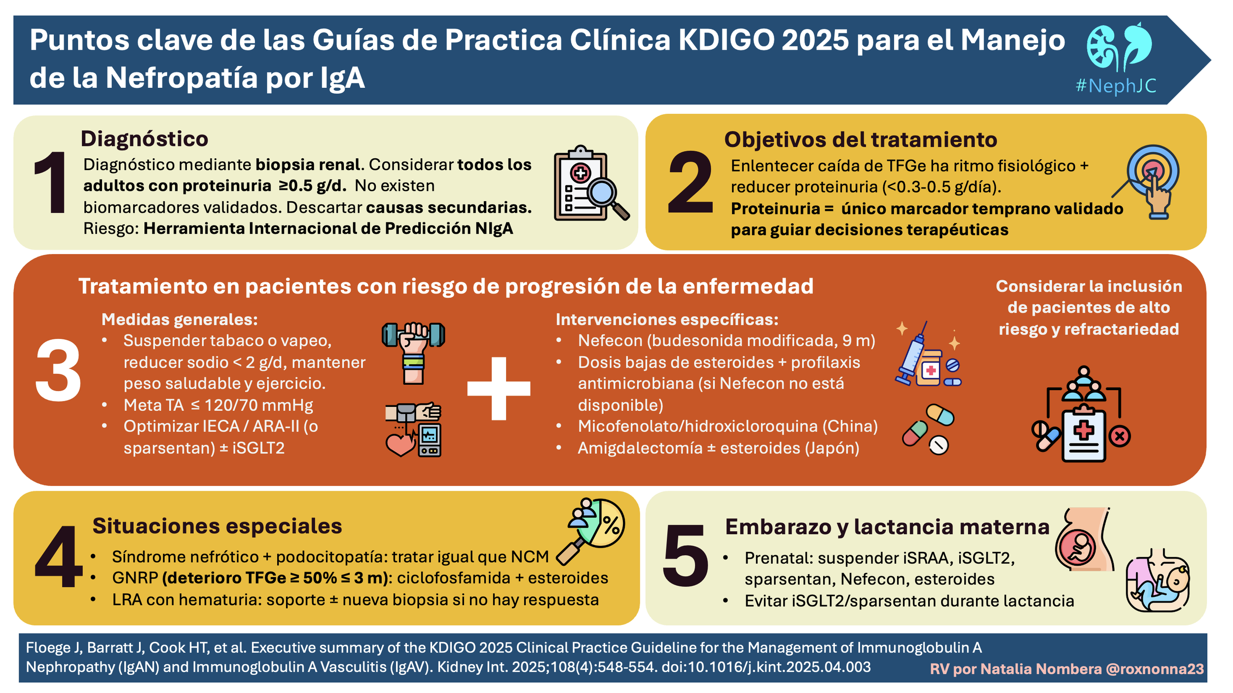 Guías KDIGO 2025 IgA - El Resumen Visual — NephJC