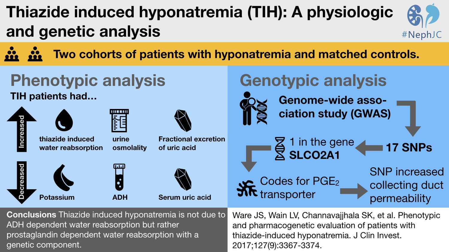 Thiazide induced hyponatremia, the #VisualAbstract — NephJC