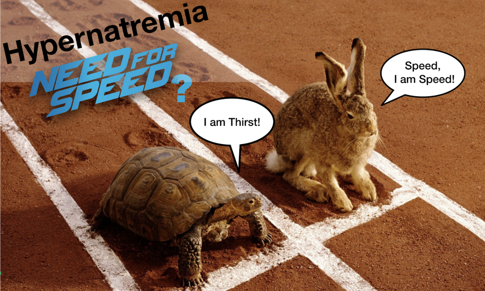 Fixing Hypernatremia: Acting Fast or Acting Slow? — NephJC