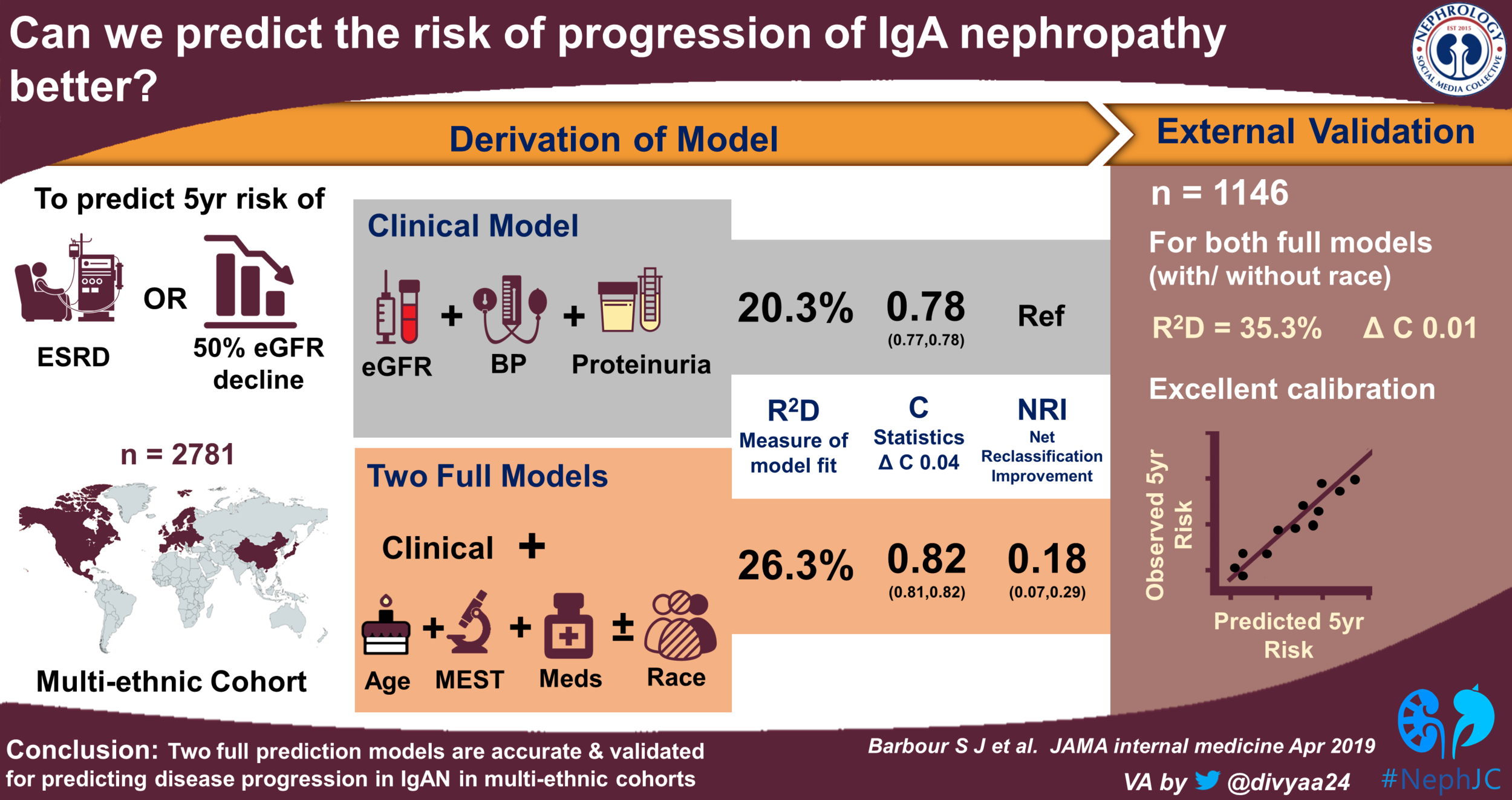 Risk Stratifying A Heterogeneous Entity: IgA Nephropathy — NephJC