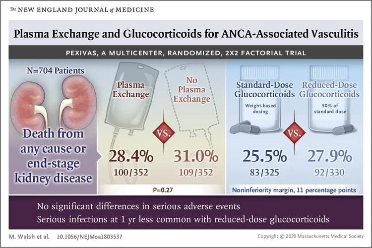 PEXIVAS: the Visual Abstract — NephJC
