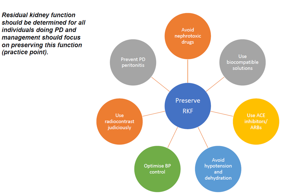 ISPD Practice Recommendations 2020 - From ‘Patient’ to ‘Person’ — NephJC