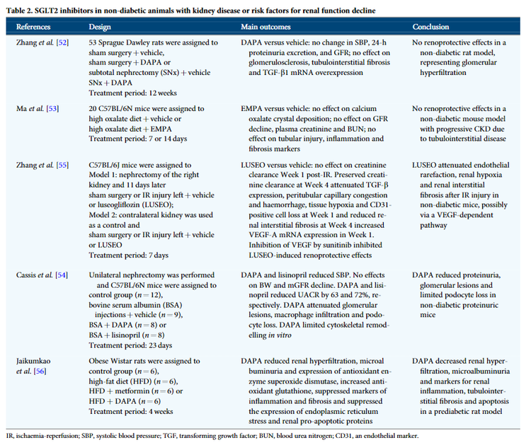 DAPA-CKD: Dapperly Gliding into then on-DM Arena? — NephJC