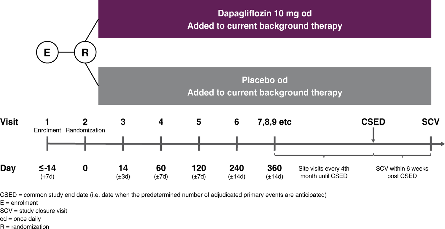DAPA-CKD: Dapperly Gliding into then on-DM Arena? — NephJC