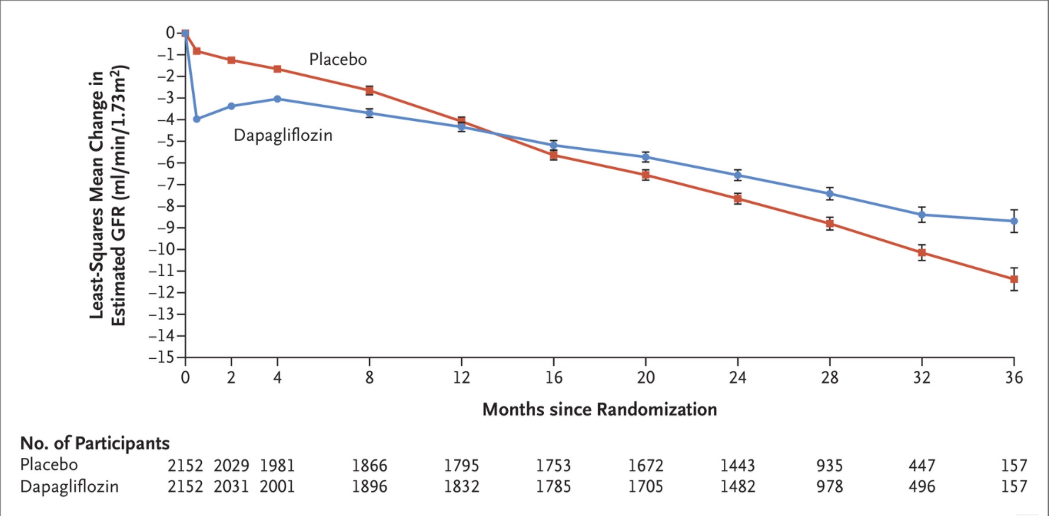 DAPA-CKD: Dapperly Gliding into then on-DM Arena? — NephJC