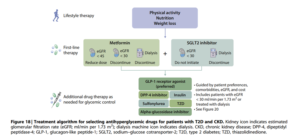 KDIGO Guidelines on Diabetes and CKD — NephJC