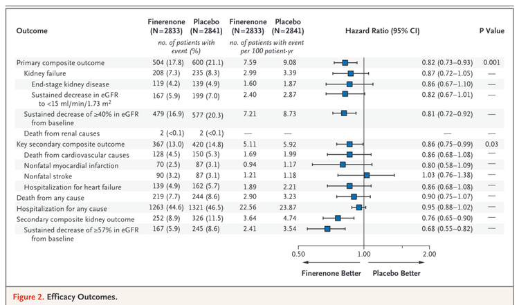 Finerenone in Diabetic Nephropathy — NephJC