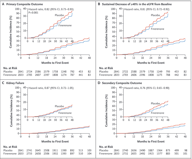Finerenone in Diabetic Nephropathy — NephJC