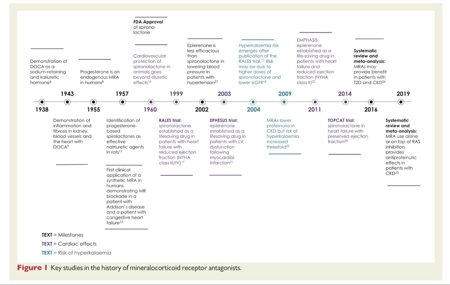 Finerenone in Diabetic Nephropathy — NephJC