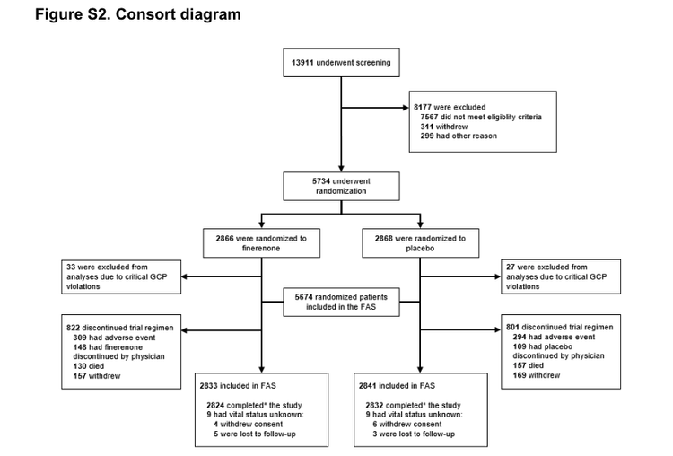 Finerenone in Diabetic Nephropathy — NephJC