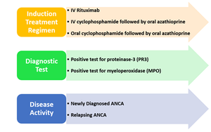 Advocating for Patients with Vasculitis: A Steroid-Sparing Regimen with ...