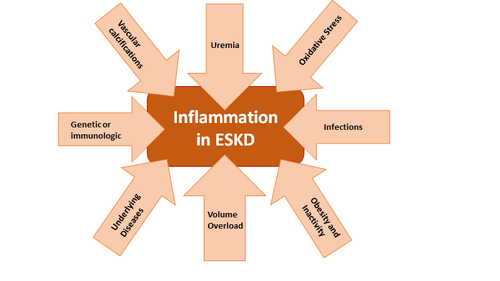 Cycling Away from Cardiac Complications — NephJC