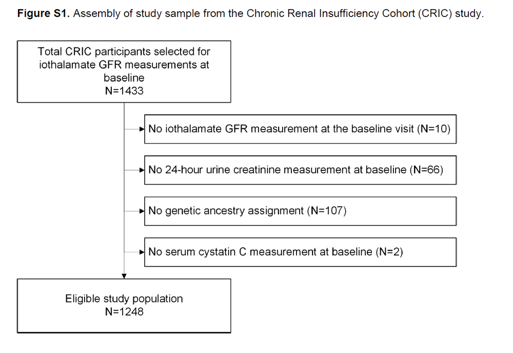 The New GFR Equations — NephJC