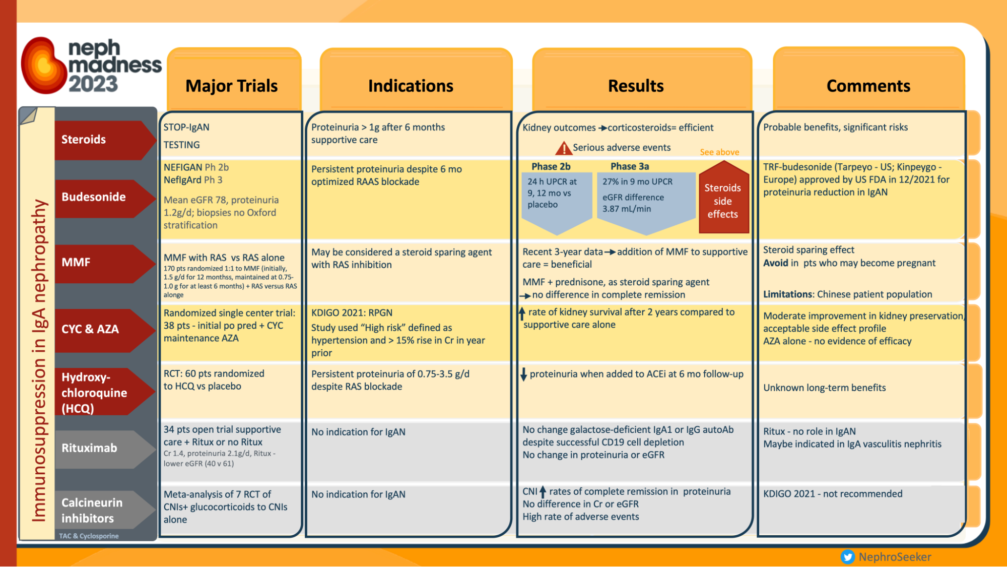 Sparsentan in IgA Nephropathy : The PROTECT trial — NephJC
