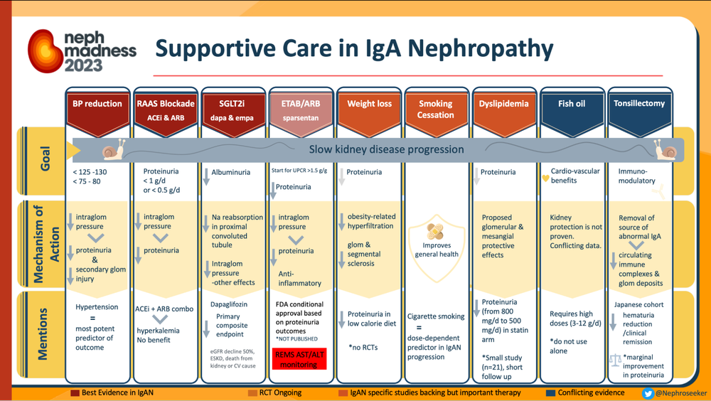 Sparsentan in IgA Nephropathy : The PROTECT trial — NephJC
