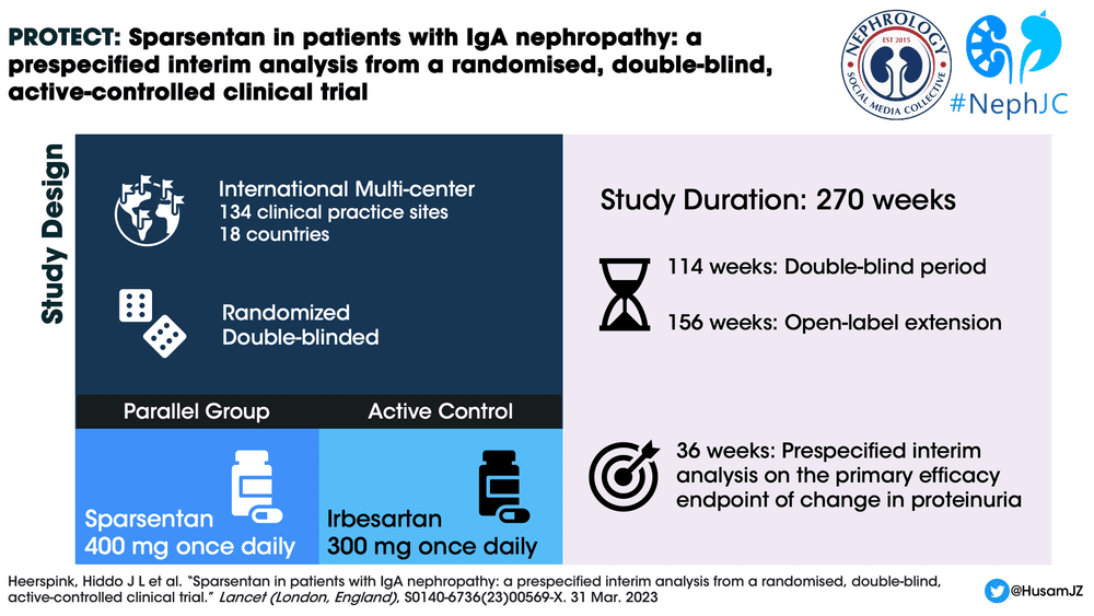 Sparsentan in IgA Nephropathy : The PROTECT trial — NephJC