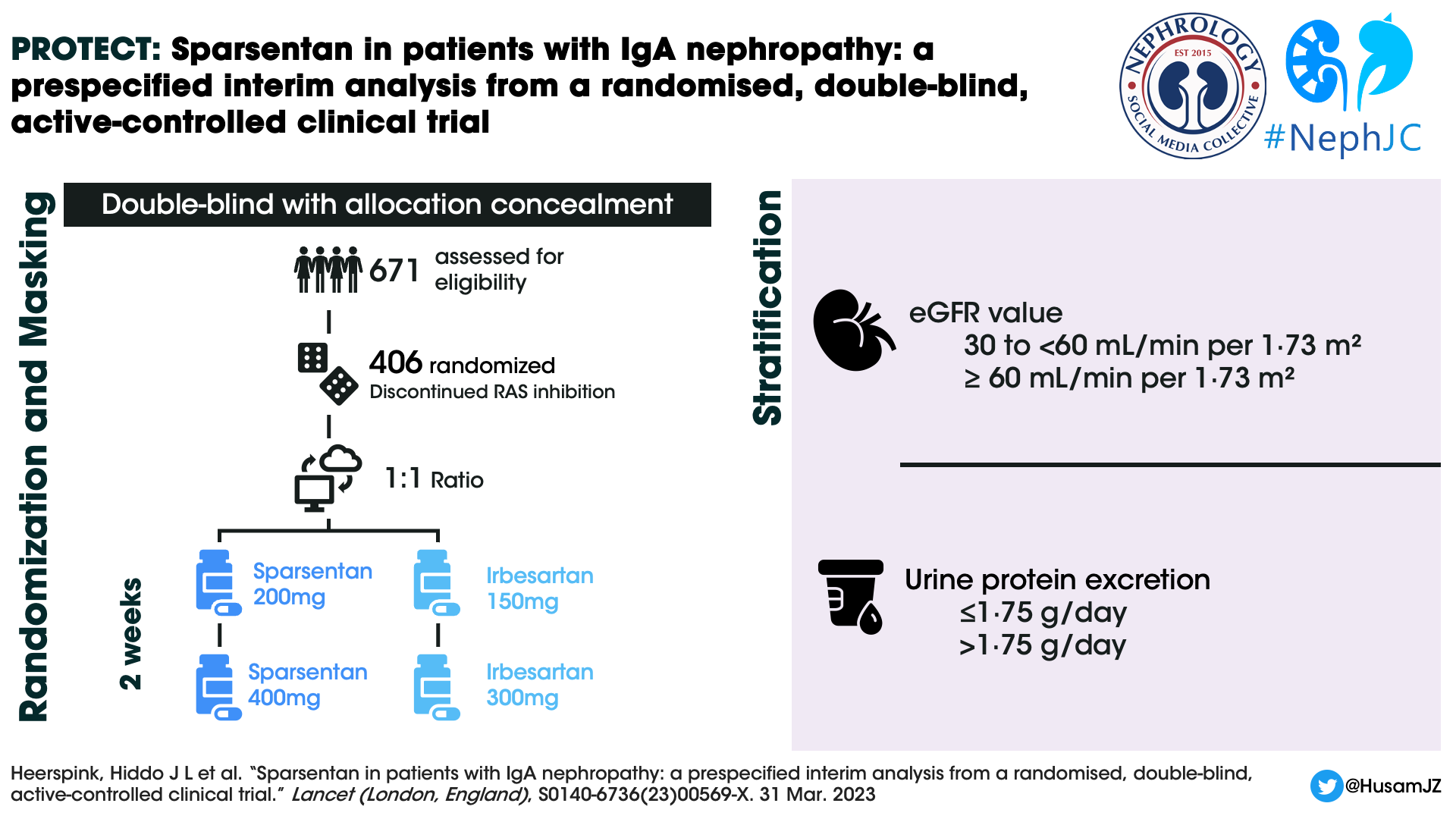 Sparsentan in IgA Nephropathy : The PROTECT trial — NephJC