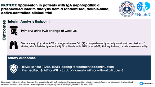Sparsentan in IgA Nephropathy : The PROTECT trial — NephJC