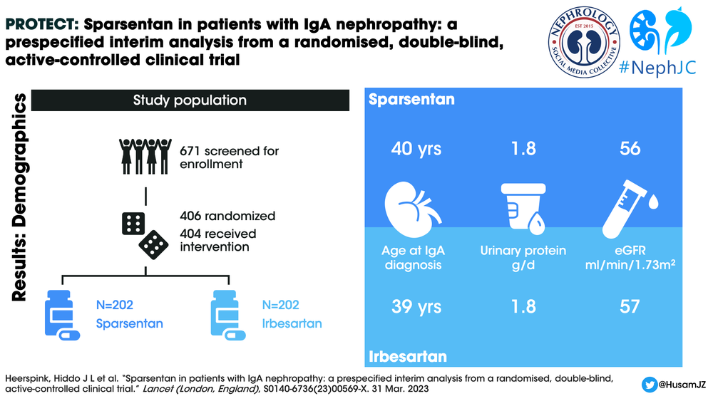 Sparsentan in IgA Nephropathy : The PROTECT trial — NephJC