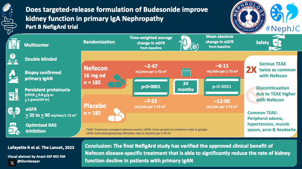 Nefecon in IgA Nephropathy, the Nefigard trial — NephJC