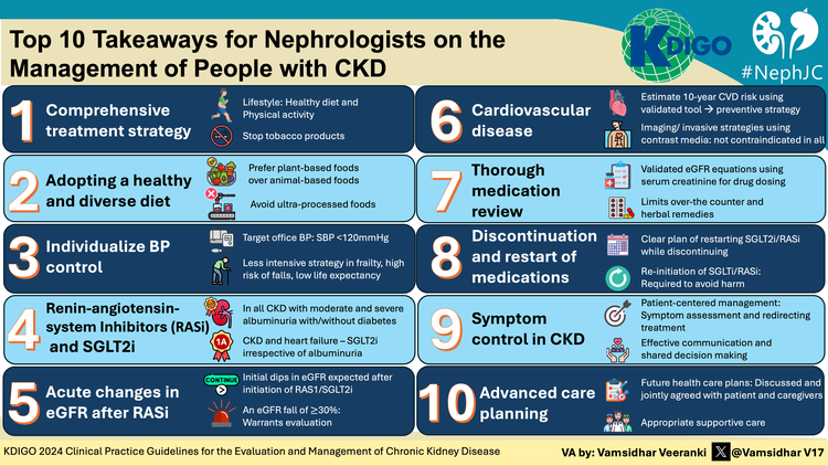 KDIGO 2024 CKD guidelines part 2 - Visual Abstract — NephJC