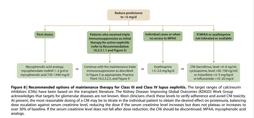 Hungry Like The Wolf for New Lupus Nephritis Guidance — NephJC