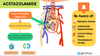 ADVOR TRIAL - Can the addition of a little buddy make a big difference ...