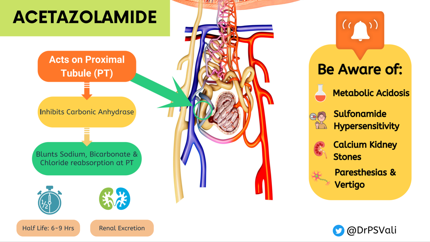 ADVOR TRIAL - Can the addition of a little buddy make a big difference ...