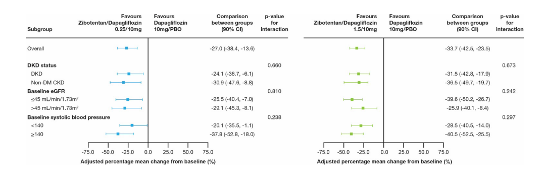 Zibotentan and Flozins: Climbing to the ZENITH of nephroprotection ...